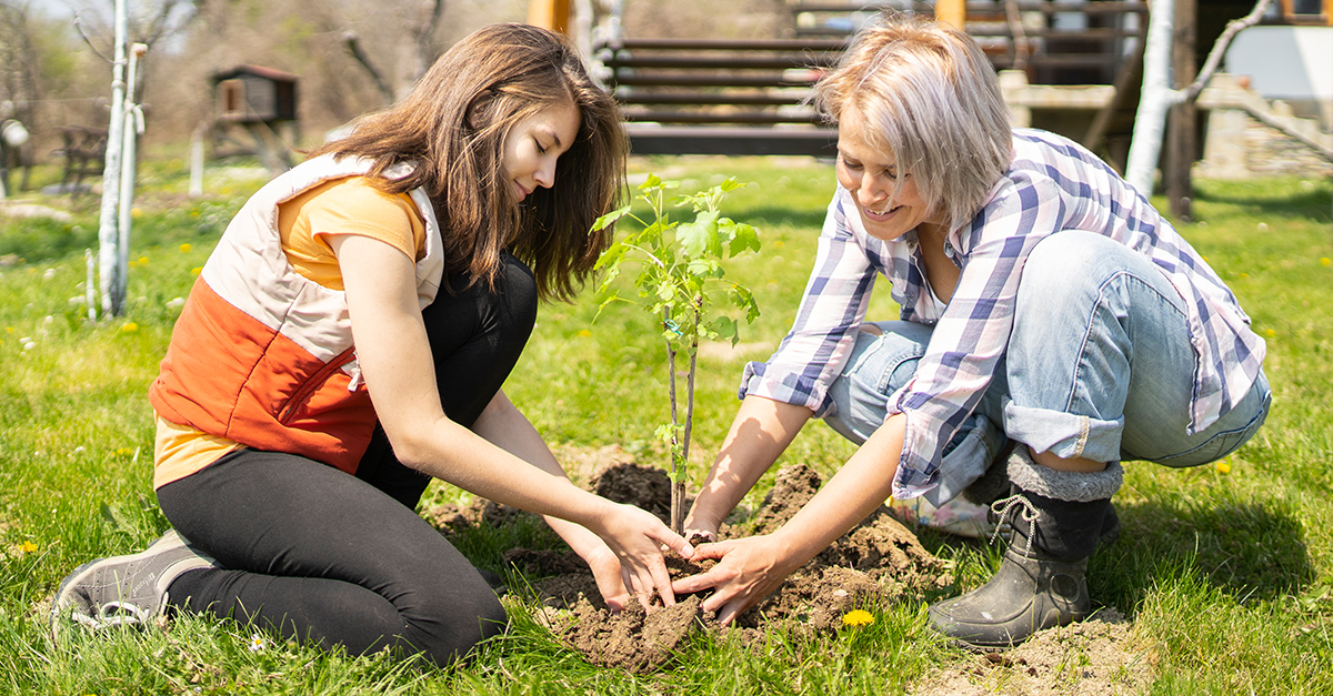 7 Simple Steps to Plant Your Own Tree